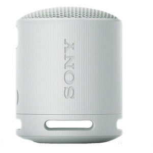Sony Boxa portabila SRS-XB100H, Grey - PC Garage